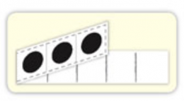 How Many Out of Eight? – Elementary Math